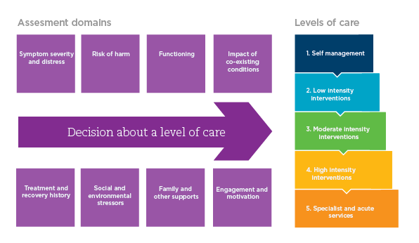 Initial Assessment and Referral – Decision Support Tool (IAR-DST ...